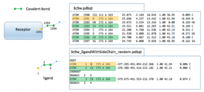 tutorial covalent – ADFR
