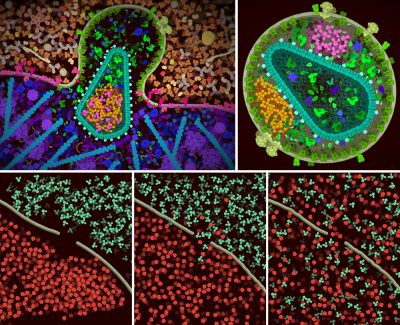 Gallery – CellPAINT