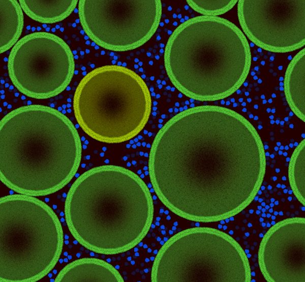 Gallery – CellPAINT