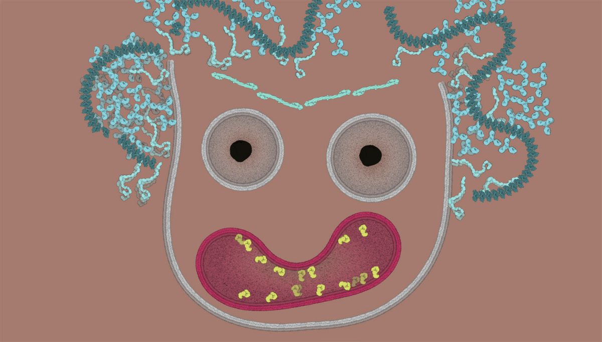 Gallery – CellPAINT