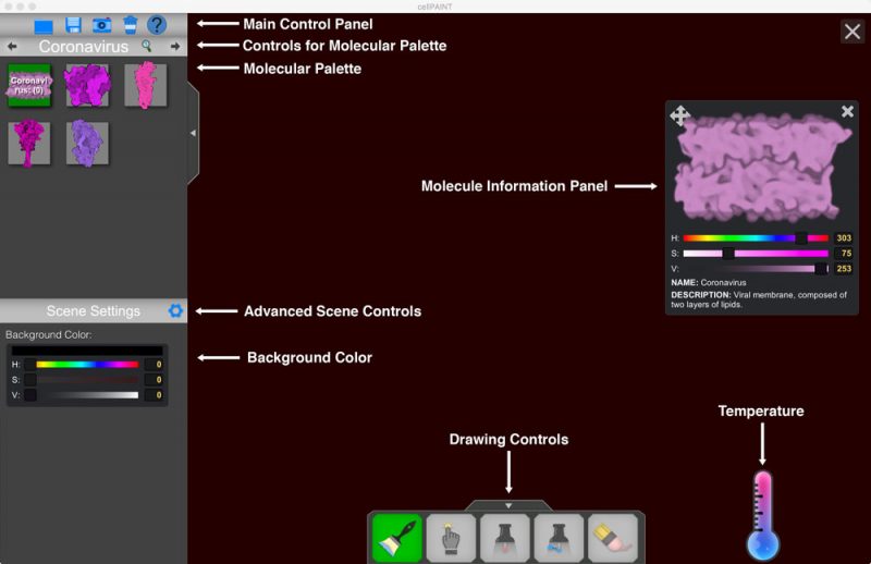 cellpaint_coronavirus – CellPAINT