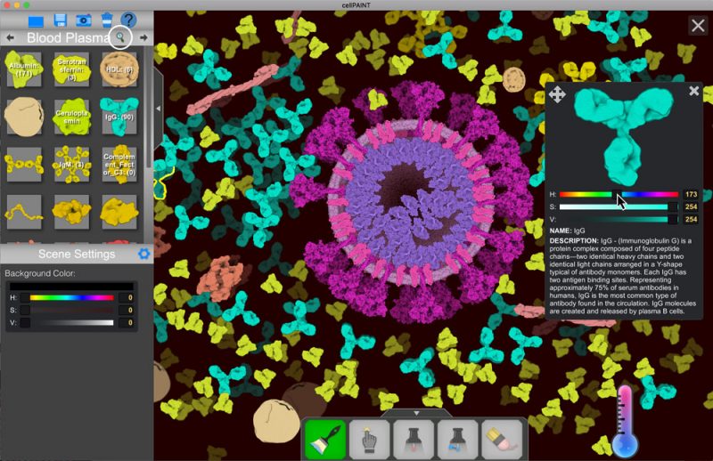cellpaint_coronavirus – CellPAINT