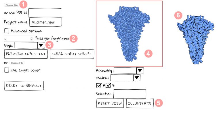 CellPAINT-2.0 Documentation – CellPAINT