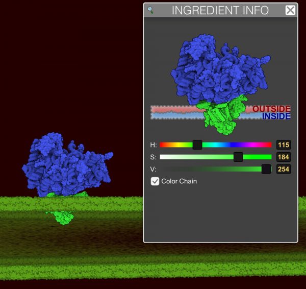 2021 CellPAINT Contest! – CellPAINT