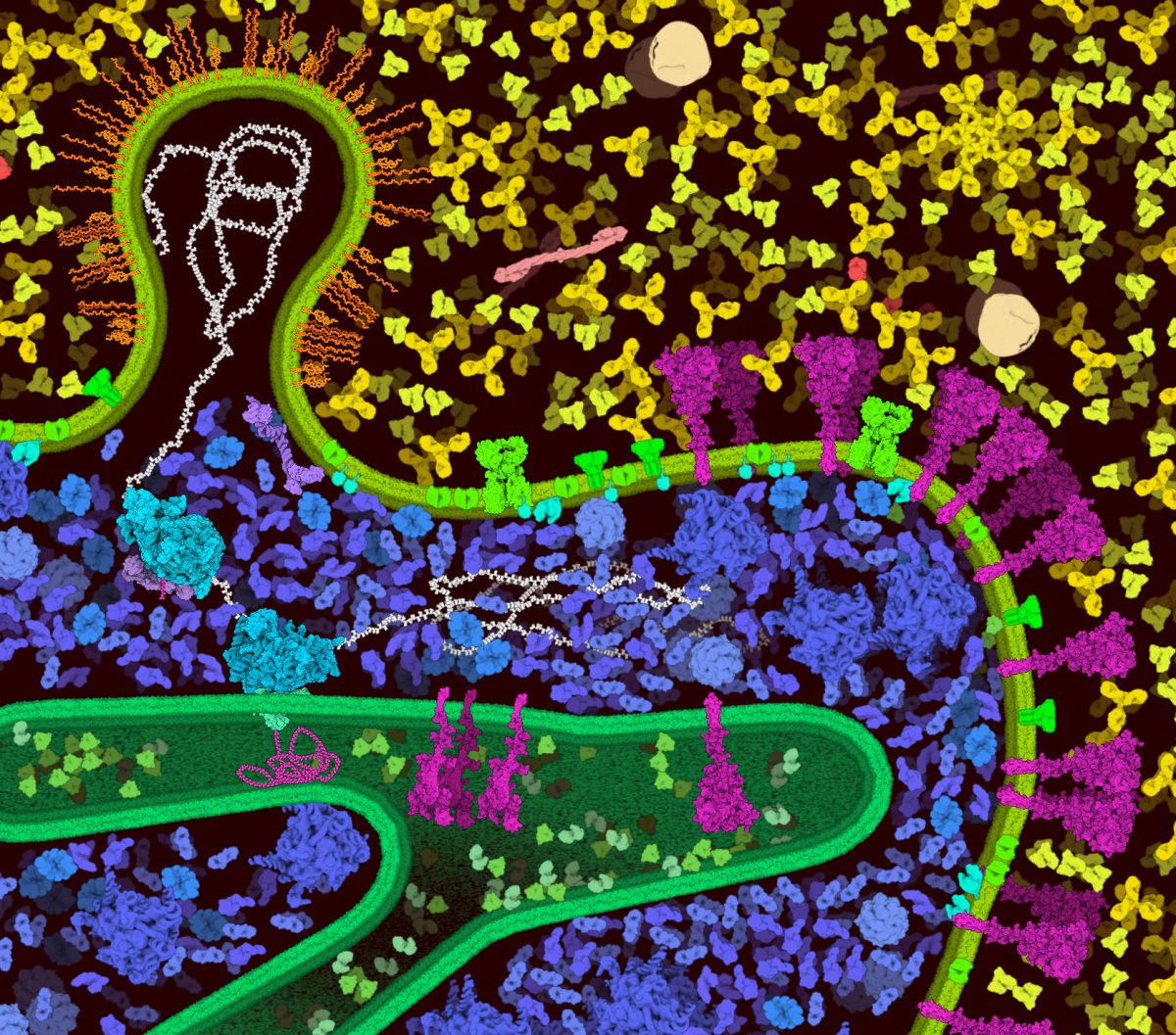 2021 CellPAINT Contest! – CellPAINT