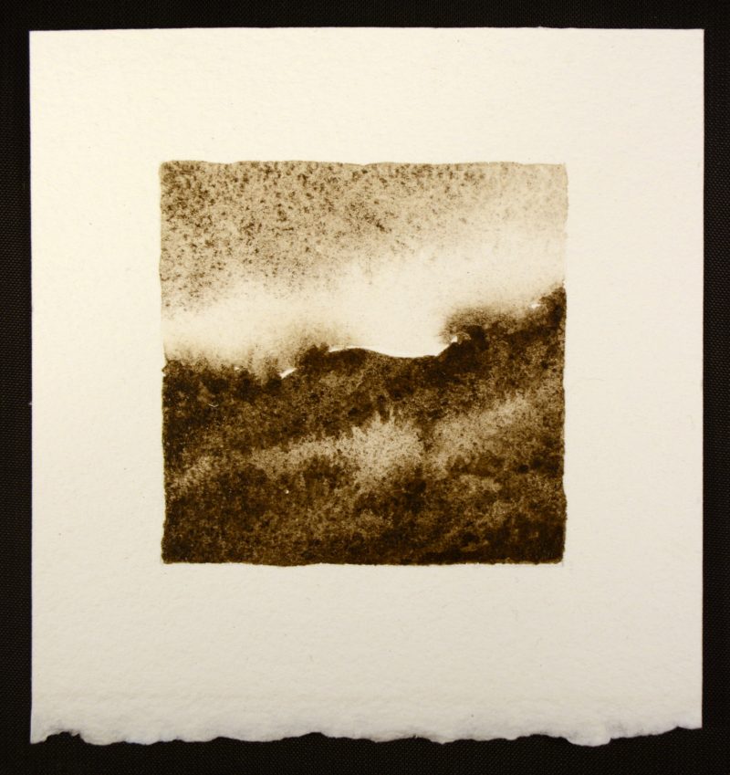 David S. Goodsell – Goodsell Home Page