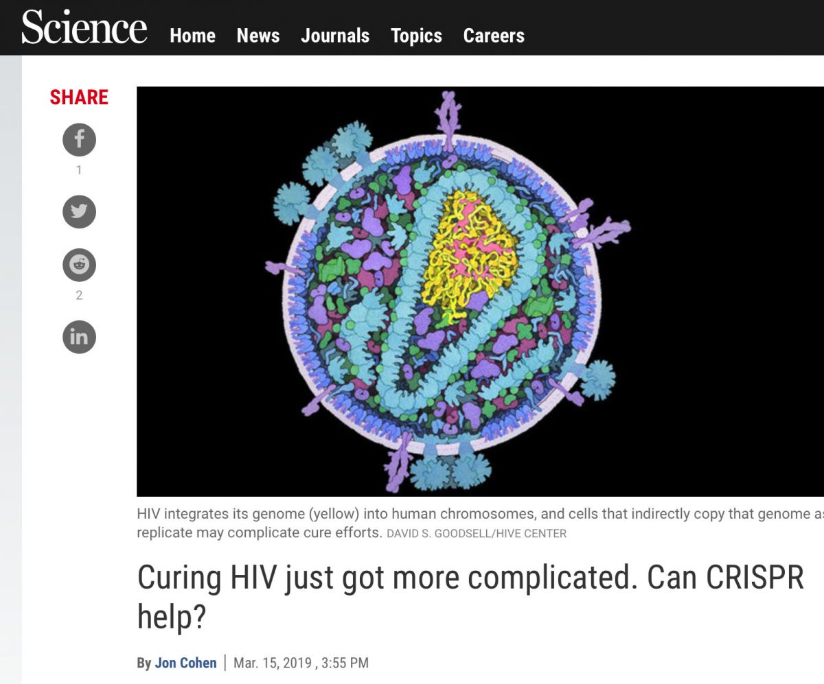 David S. Goodsell – Goodsell Home Page