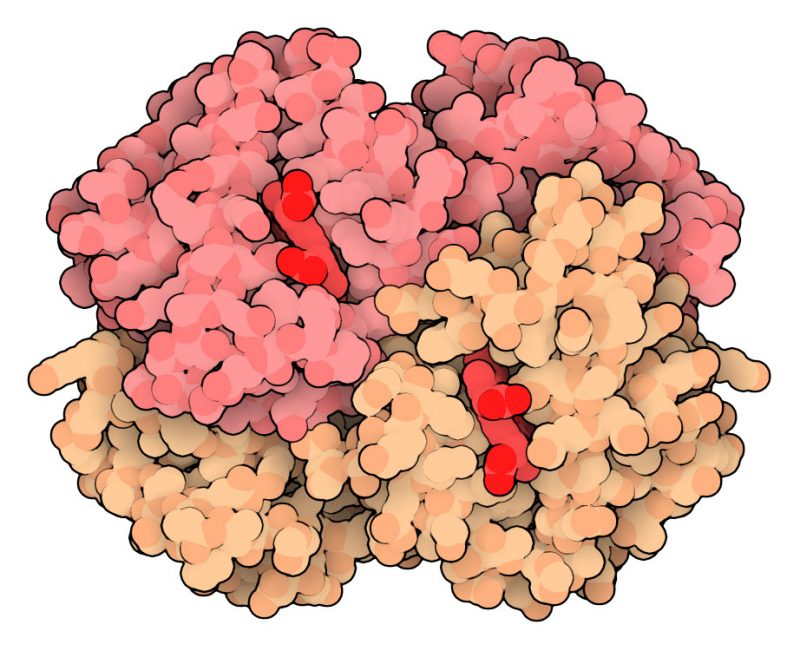 Gallery – Illustrate