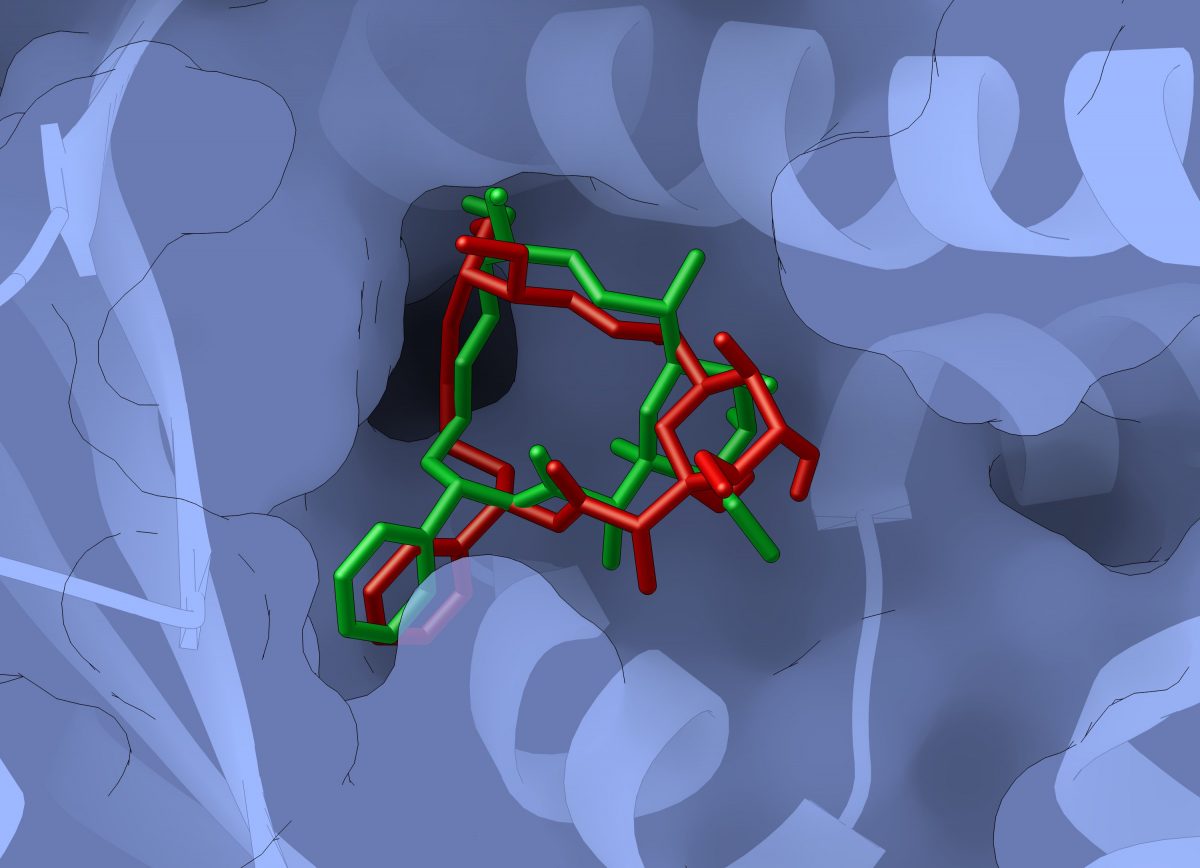 Gallery – mgltools