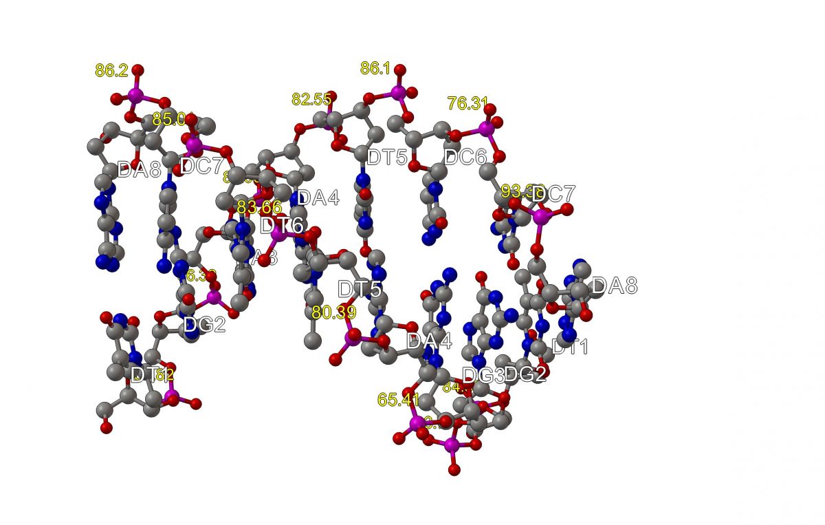 Gallery – mgltools