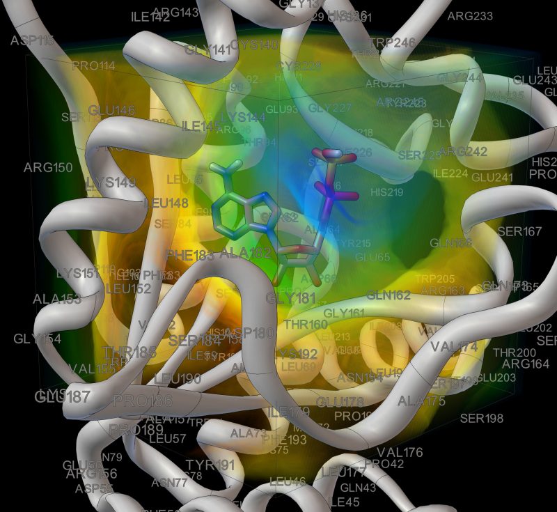 Gallery – mgltools