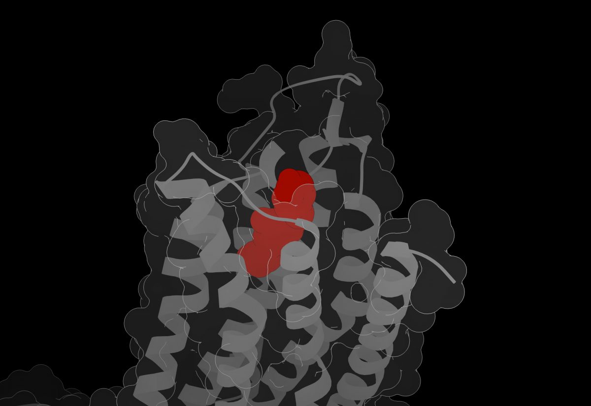 Gallery – mgltools