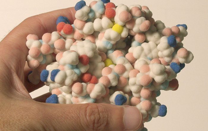 Center for Computational Structural Biology