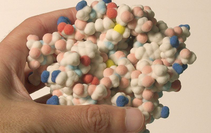 Center for Computational Structural Biology