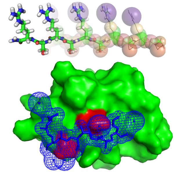 Projects Center For Computational Structural Biology