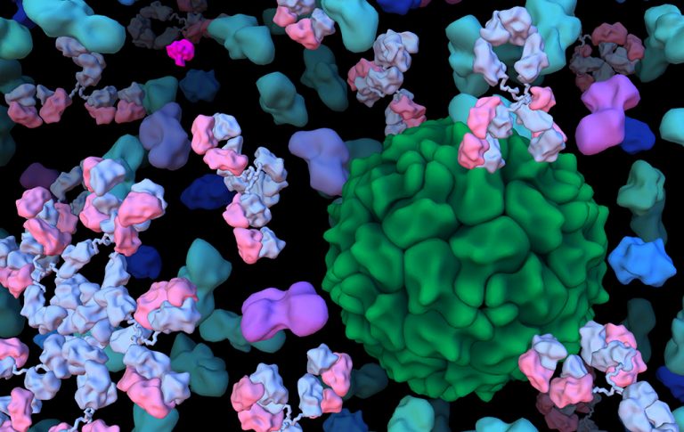 Center for Computational Structural Biology