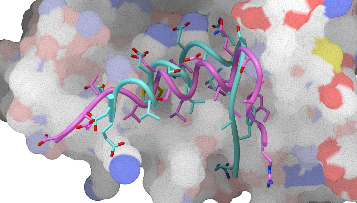 GALLERY – Center for Computational Structural Biology