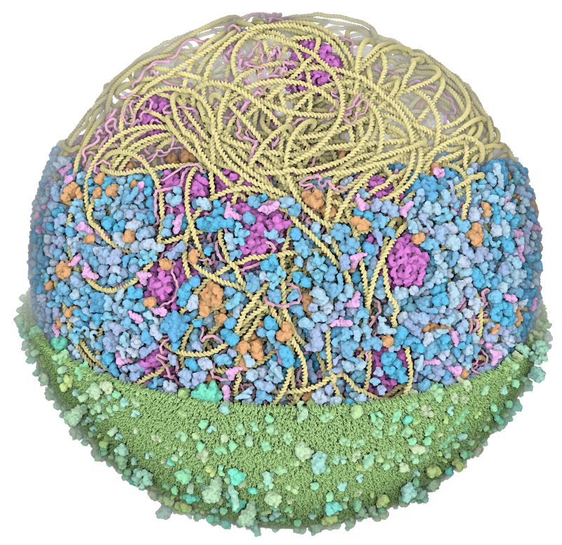 Center for Computational Structural Biology